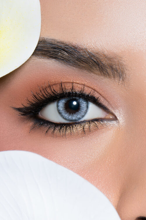 Shop – Ivy Lense